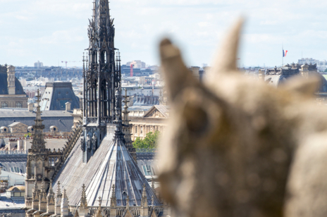 Rendez-vous en 2025 pour visiter les tours de Notre-Dame de Paris ...